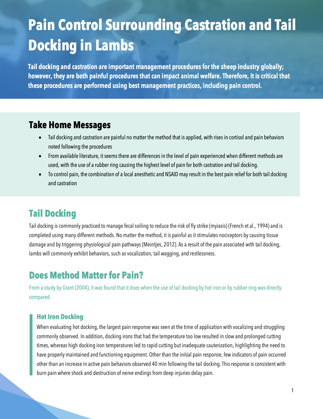 Tail Docking and Castration in Lambs - ACER Consulting